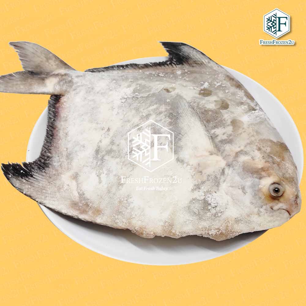 FreshFrozen2U - Your Online Seafood Shop