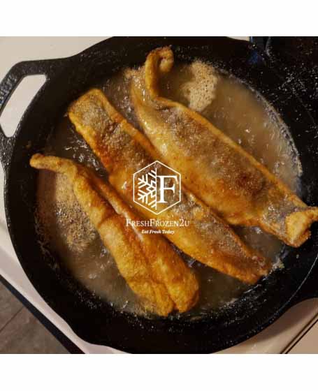 John Snapper Fish Fillet Portion (500g) 红槽鱼片