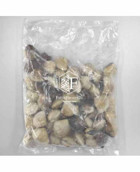 White Clam (1kg) Kepah 沙白